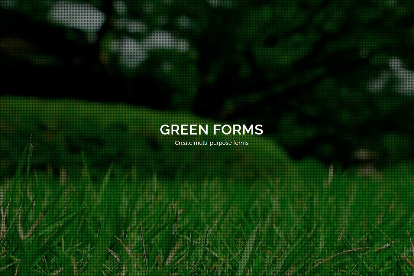 Green Forms - Formación KDD Business
